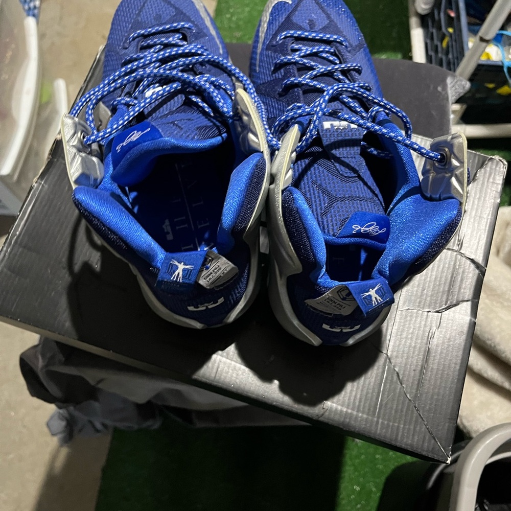 Lebrun James Nike Sneakers - Gem